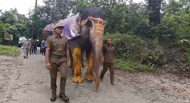Awareness rally organized at Bengal Safari Park on World Elephant Day ...